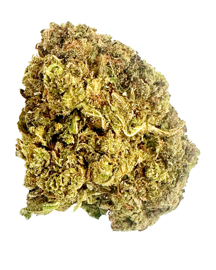 Budzburn Lab Reports