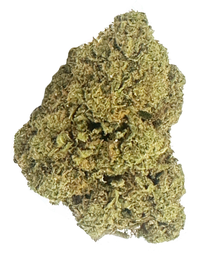 Budzburn Lab Reports