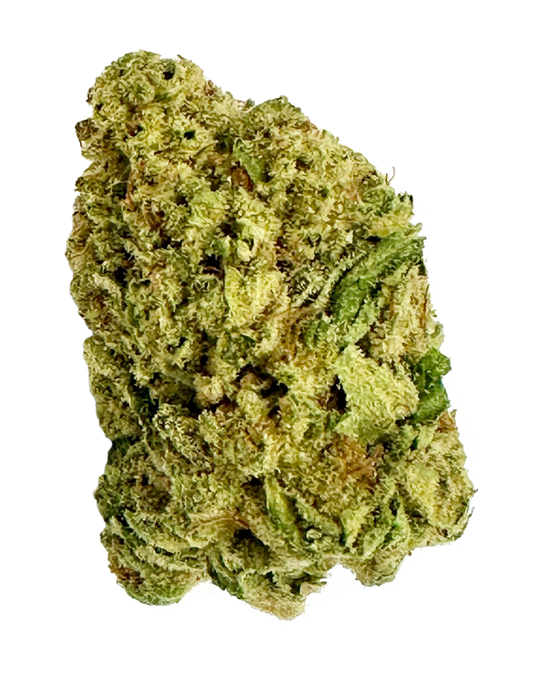 Budzburn Lab Reports