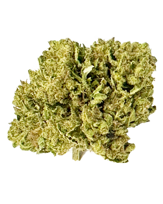 Budzburn Lab Reports