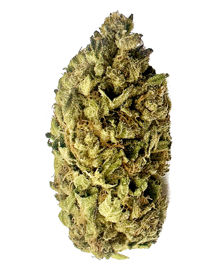 Budzburn Lab Reports