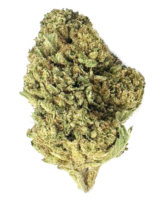 Budzburn Lab Reports