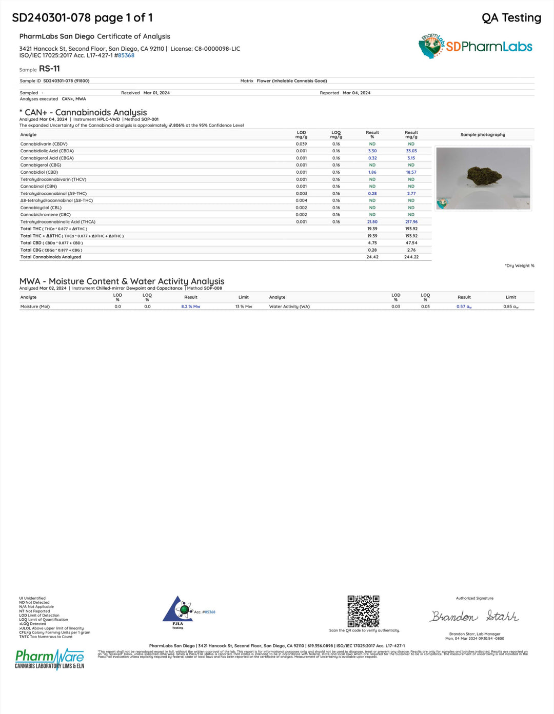 Budzburn Lab Reports