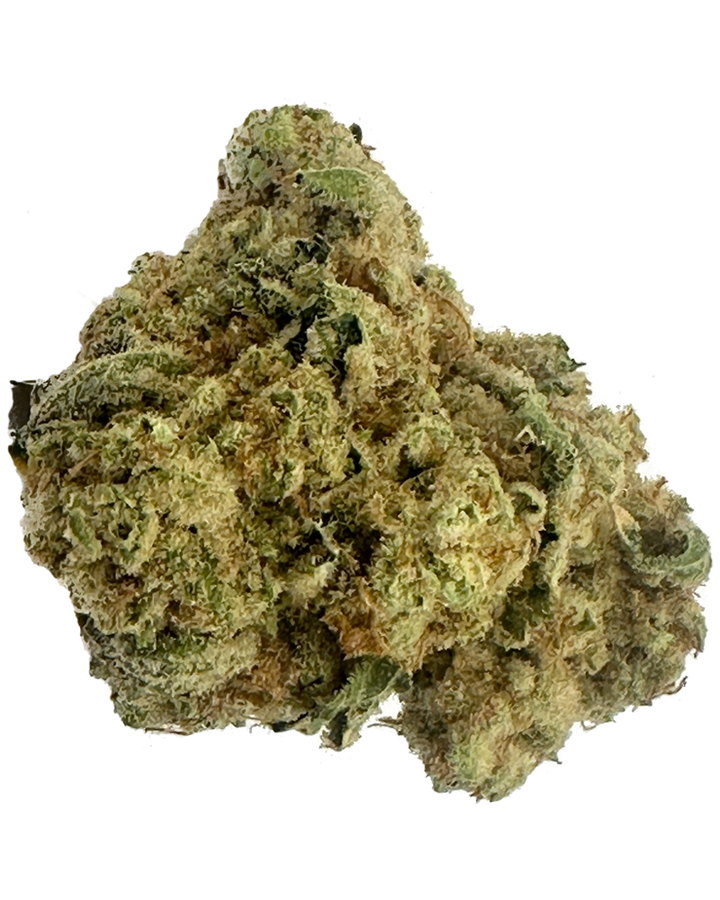 Budzburn Lab Reports