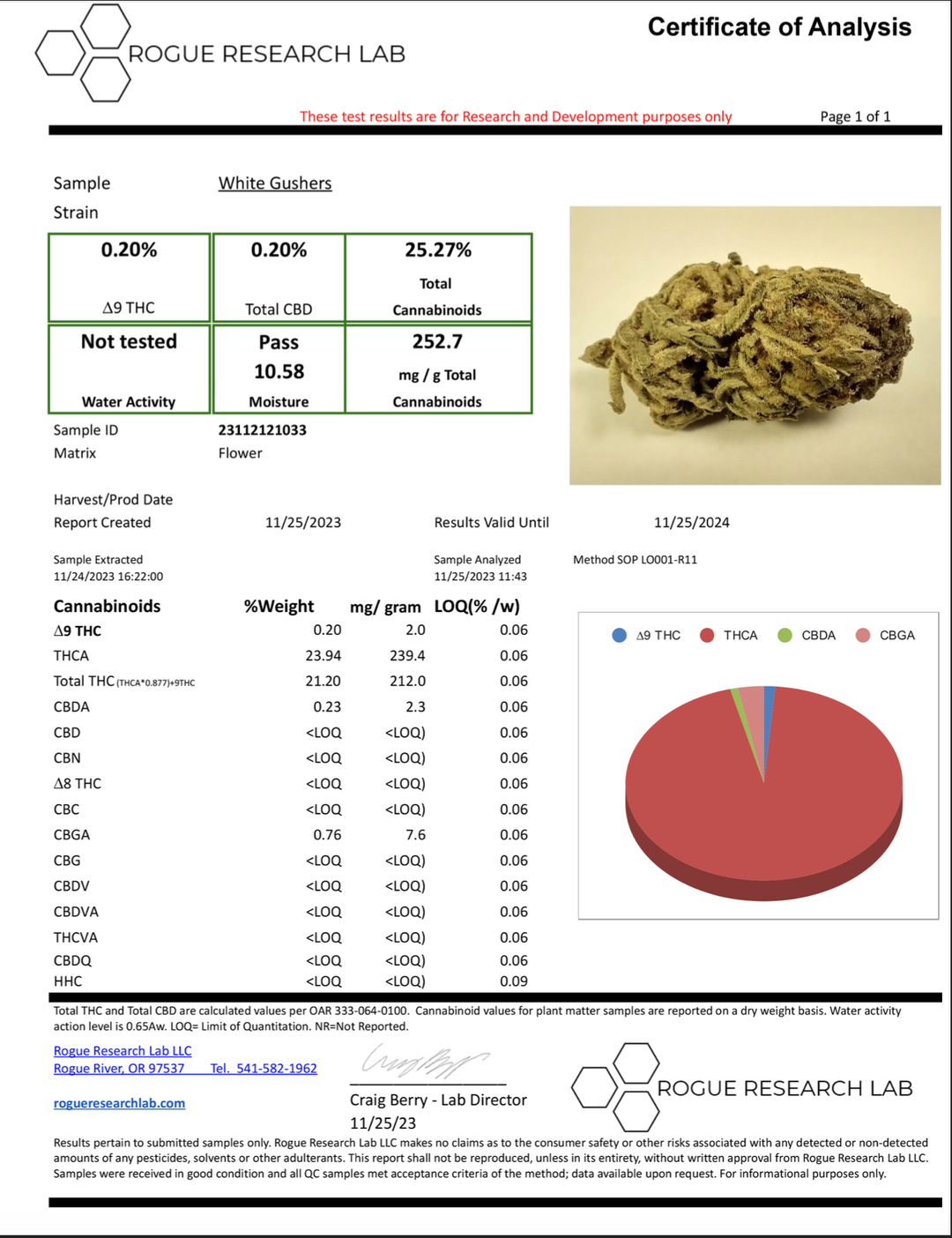 Budzburn Lab Reports