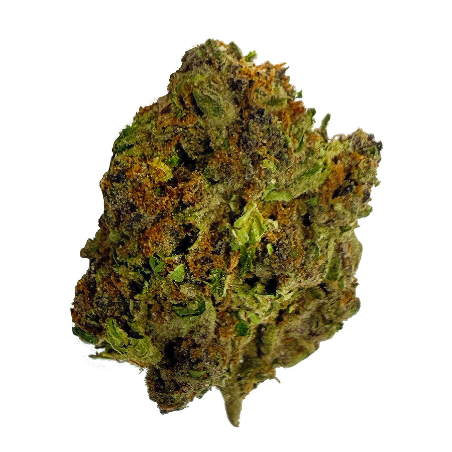 Budzburn Lab Reports